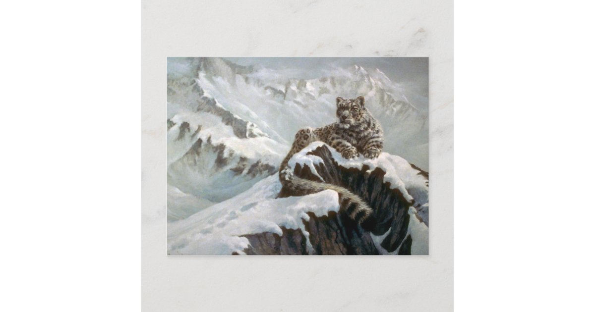 Spirit of the mountains, Snow Leopard Postcard | Zazzle