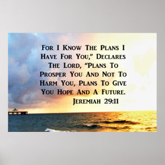 Jeremiah 29 11 Posters | Zazzle