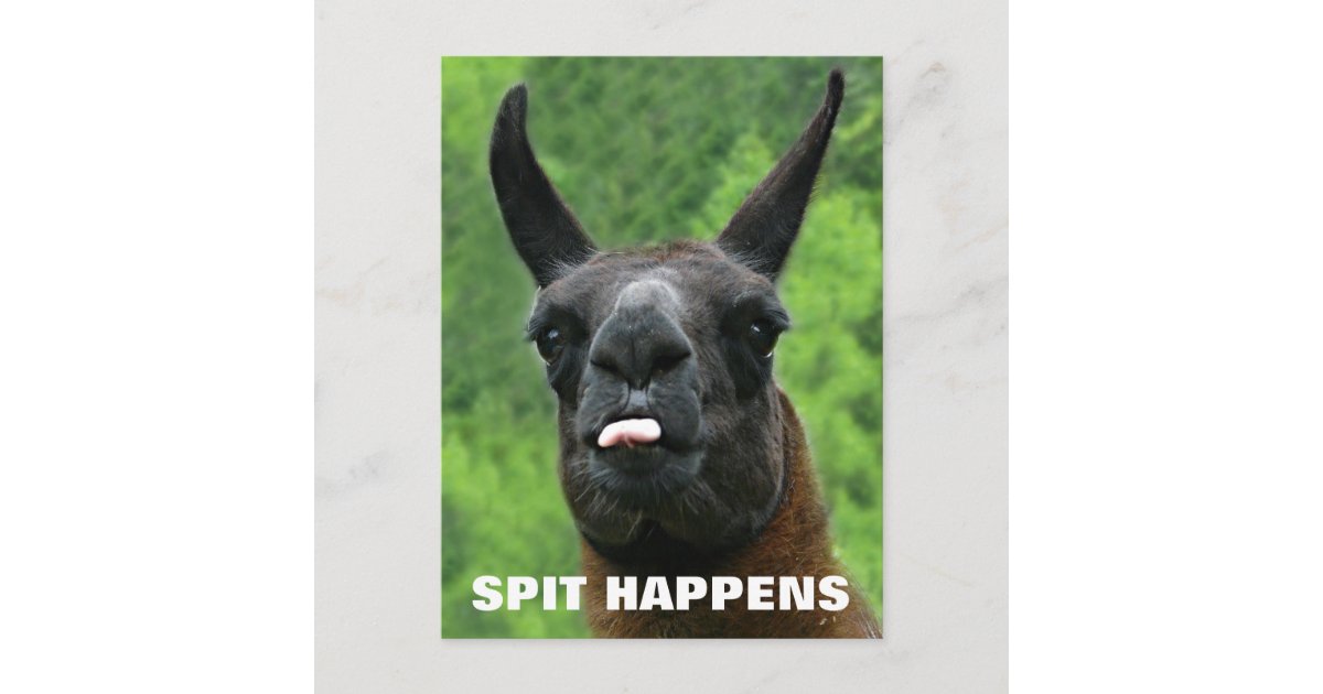 Spit Happens Postcard | Zazzle
