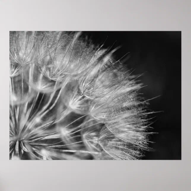 Splendid detail pustard trees in black white poster | Zazzle