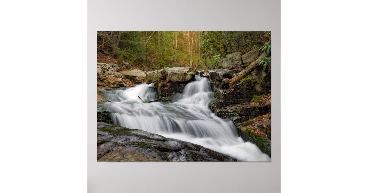 Split Falls on Sand Spring Run Poster | Zazzle