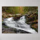 Split Falls on Sand Spring Run Poster | Zazzle