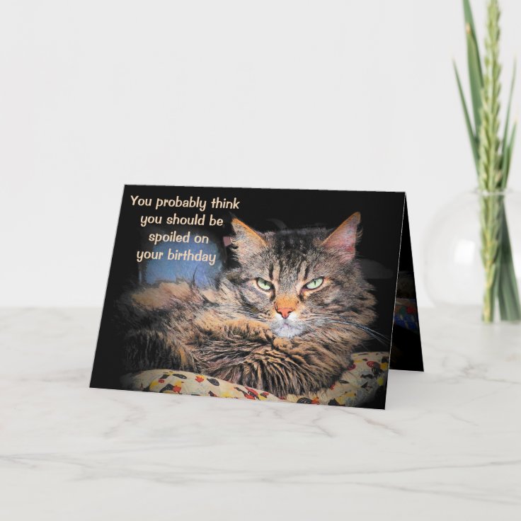 Spoiled On Your Birthday? Think You're A CaT? Card | Zazzle