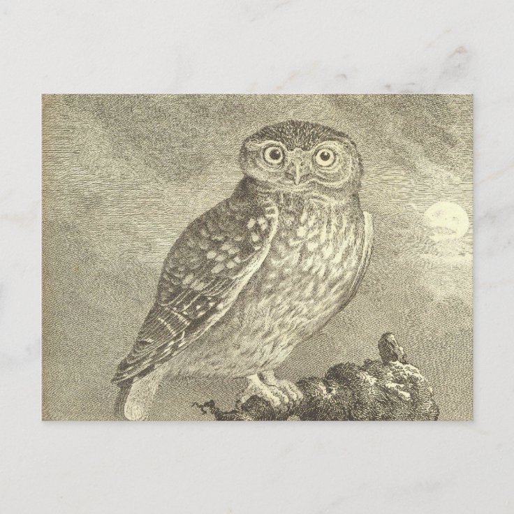 Spooky Vintage Screech Owl Halloween Greeting Card | Zazzle
