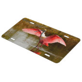 spoonbill license plate | Zazzle