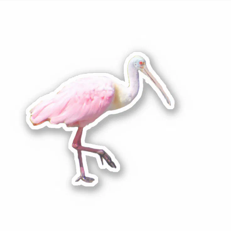 Spoonbill Vinyl Sticker | Zazzle