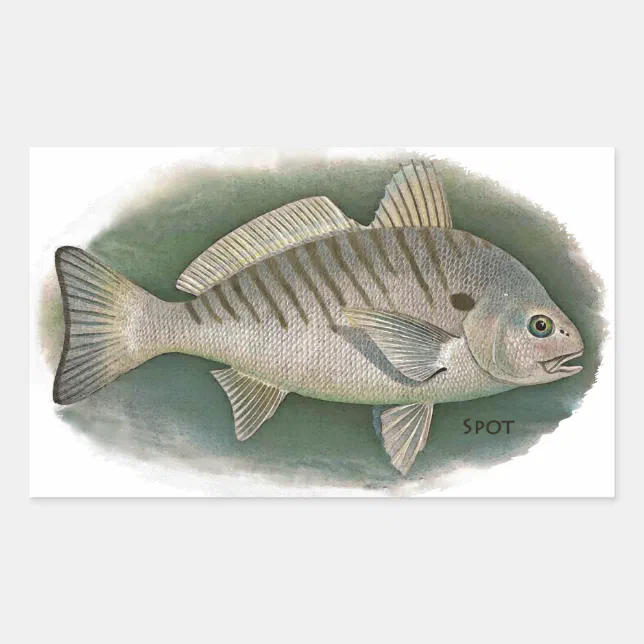 Spot Fish Logo Rectangular Sticker | Zazzle
