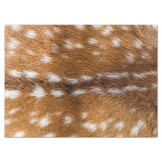 Spotted deer fur texture tissue paper | Zazzle.com