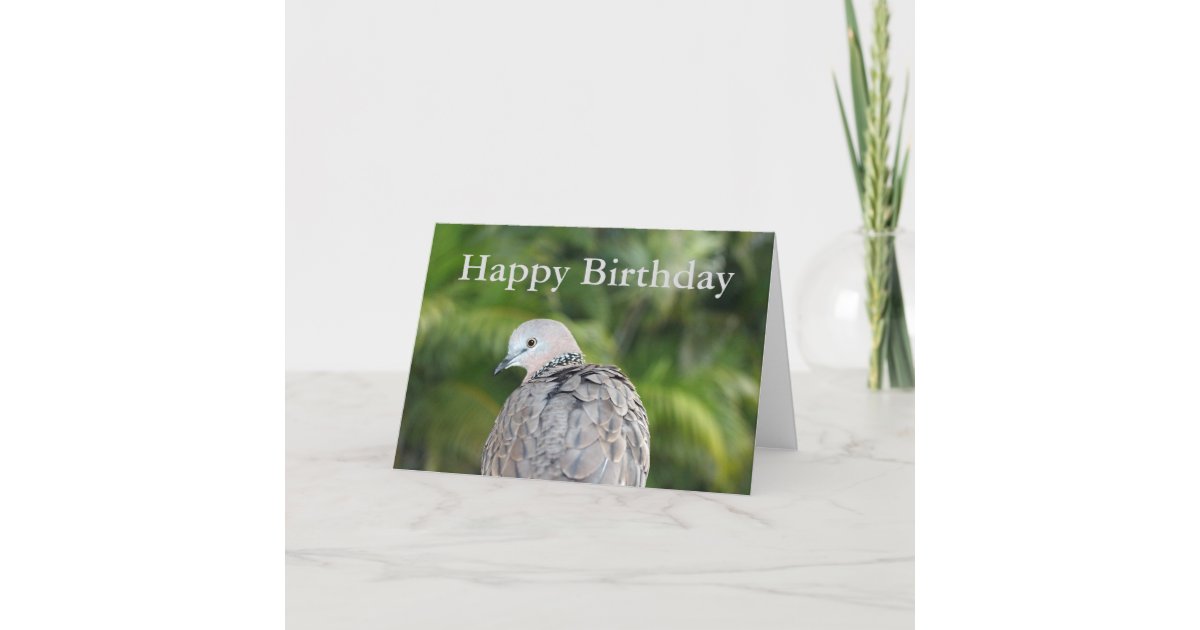 Spotted Dove Birthday Card | Zazzle
