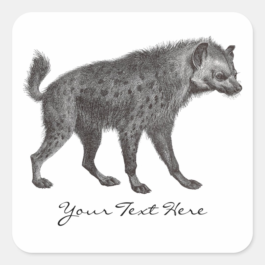 Spotted Hyena Stickers | Zazzle