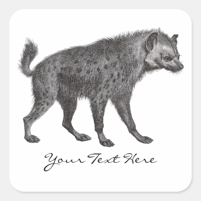 Spotted Hyena Stickers | Zazzle