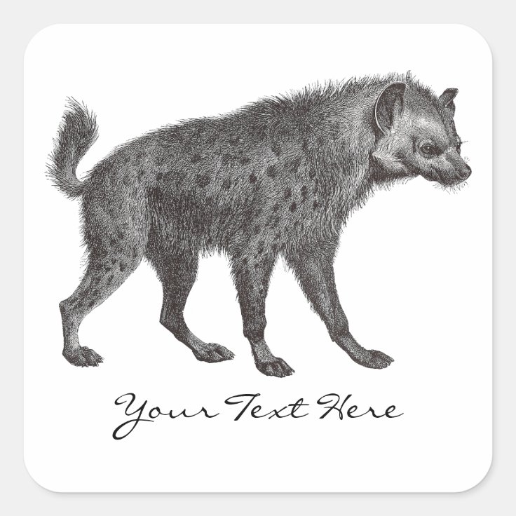 Spotted Hyena Stickers | Zazzle