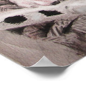 Spotty Dalmatian Dog and Man dogs cute Poster | Zazzle