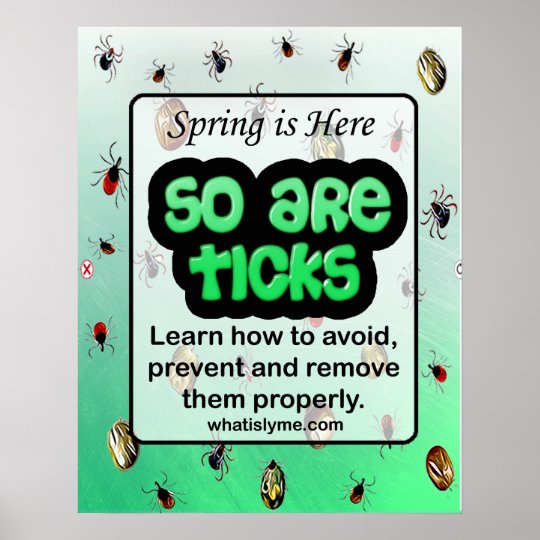 Spring and Tick Lyme Disease Prevention Poster | Zazzle.com