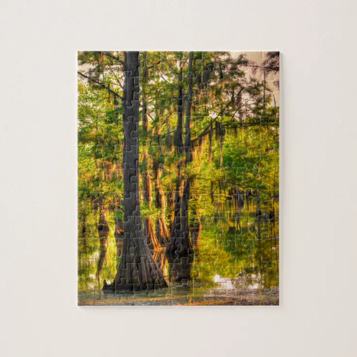 Spring At The Bayou Jigsaw Puzzle | Zazzle
