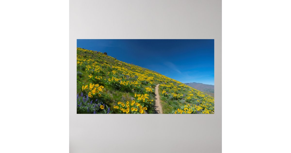 Spring Balsam Superbloom Poster | Zazzle