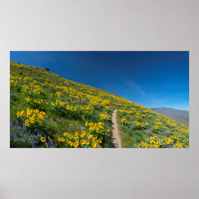 Spring Balsam Superbloom Poster | Zazzle