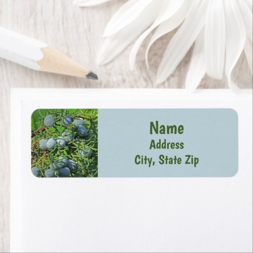 Spring Berry Photo Pine Tree Evergreen Branch Label | Zazzle