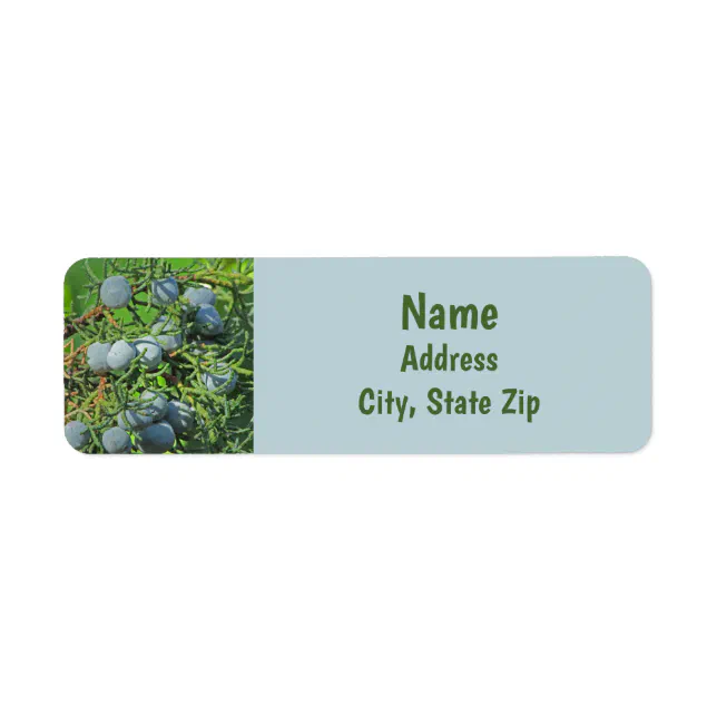 Spring Berry Photo Pine Tree Evergreen Branch Label | Zazzle