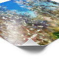 Spring Blossom Almond Tree Pointillism Artwork Photo Print | Zazzle
