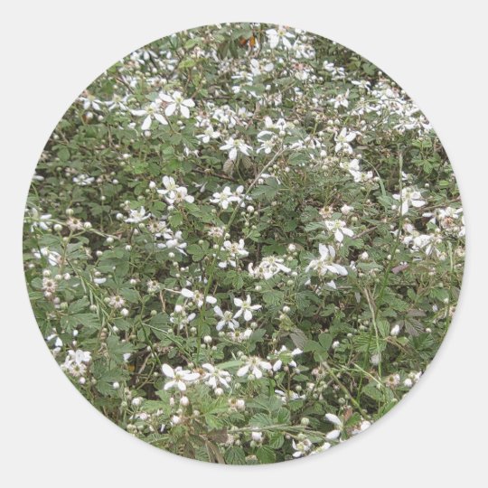 Spring Briar Patch Classic Round Sticker | Zazzle.com