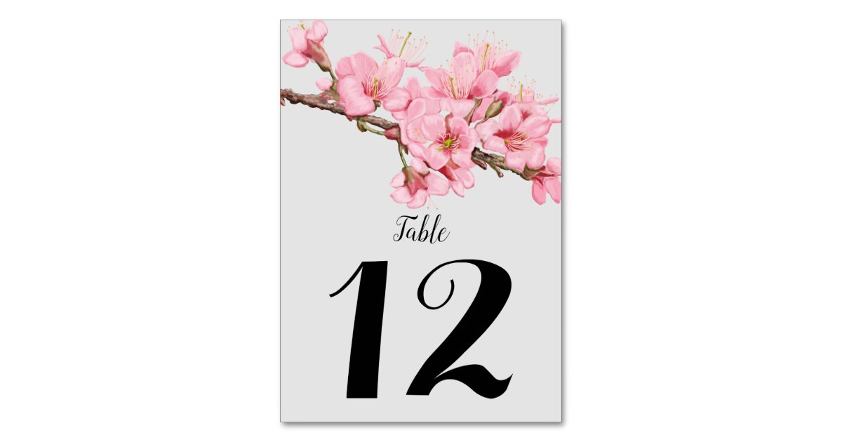 Spring Cherry blossom Table Number | Zazzle