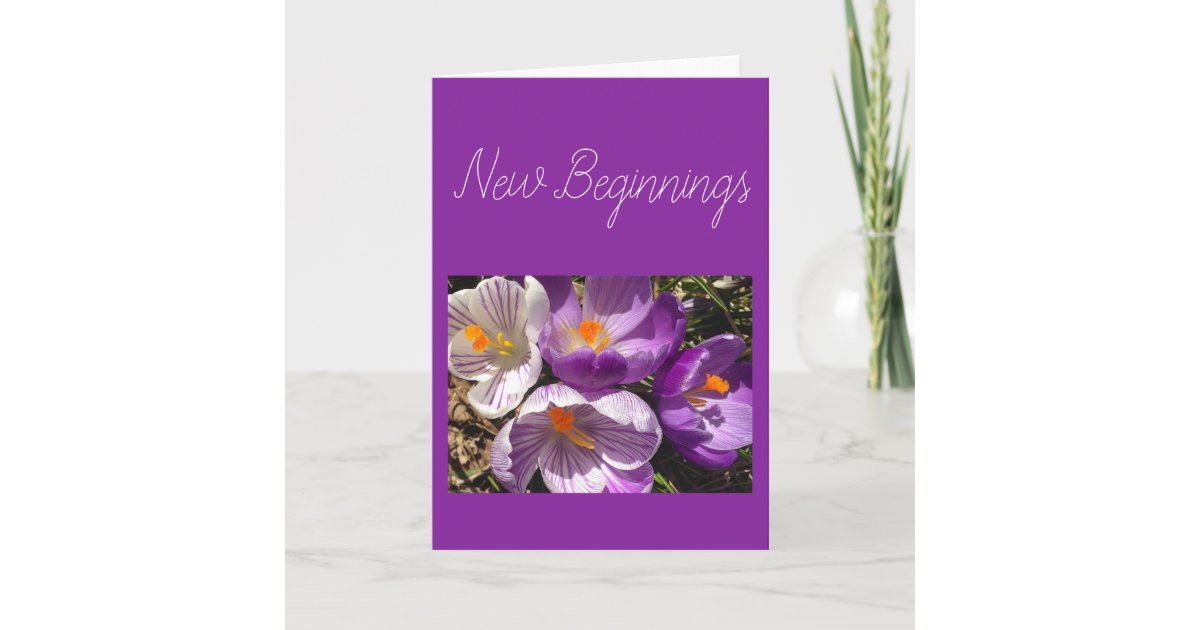 Spring Crocus New Beginnings Card | Zazzle