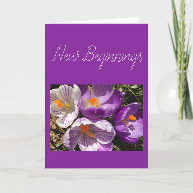 Spring Crocus New Beginnings Card | Zazzle