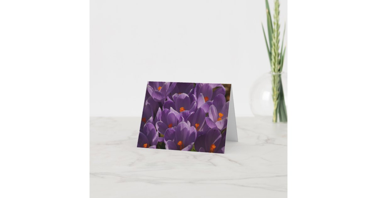 Spring Crocus Thank You Card | Zazzle