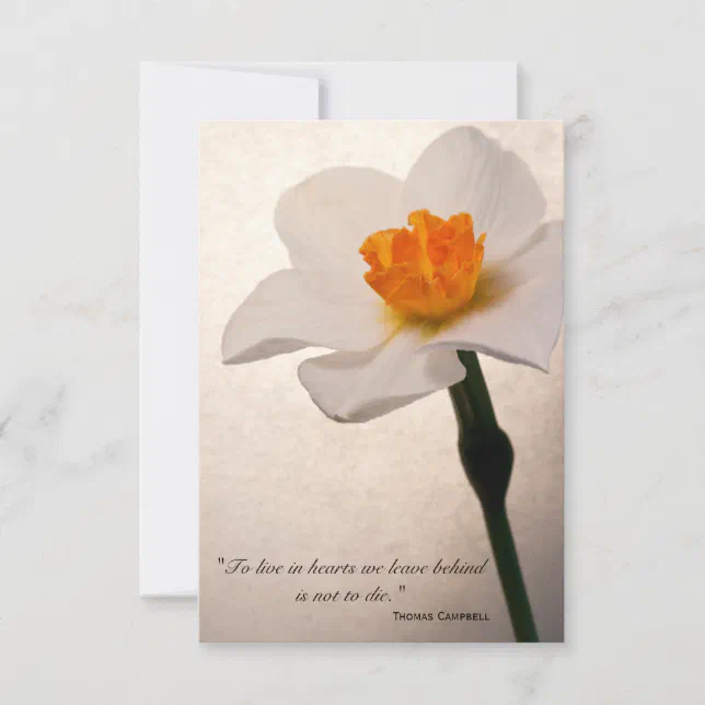 Spring Daffodil Thank You for Your Sympathy | Zazzle