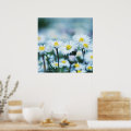 Spring daisy flower poster | Zazzle