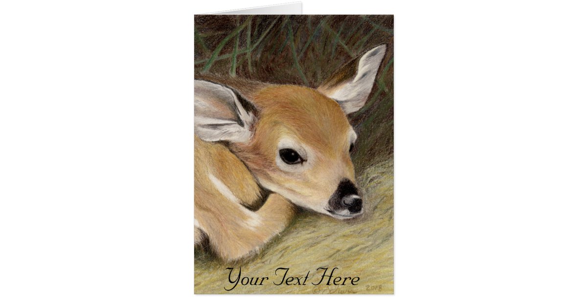 Spring Fawn | Zazzle