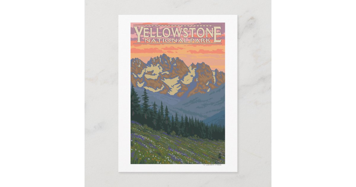 Spring Flowers - Yellowstone National Park Postcard | Zazzle
