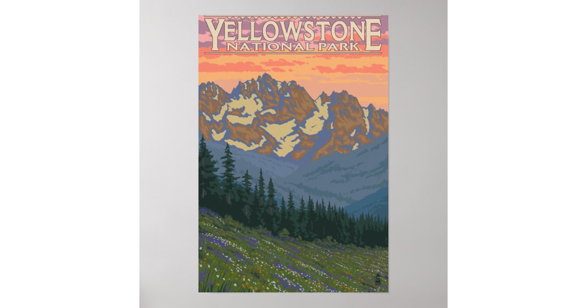 Spring Flowers - Yellowstone National Park Poster | Zazzle