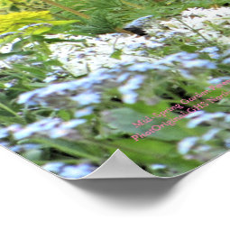 Spring Garden Perennials Poster | Zazzle