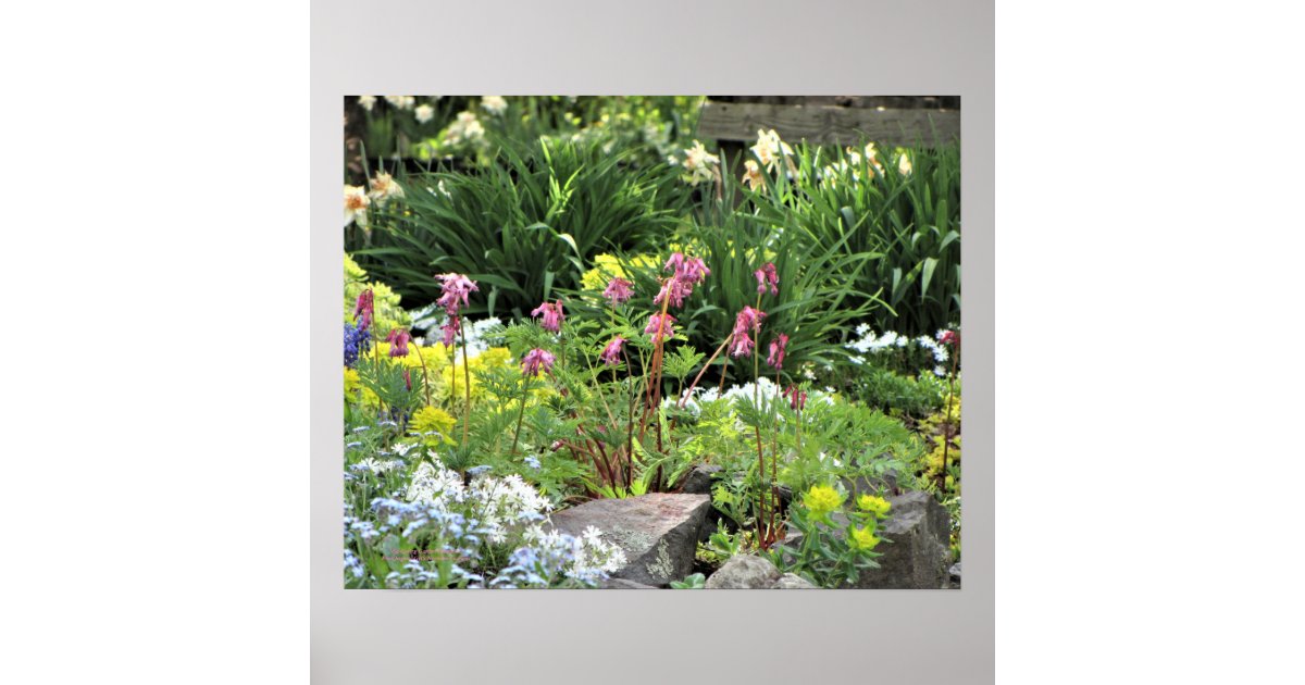 Spring Garden Perennials Poster | Zazzle