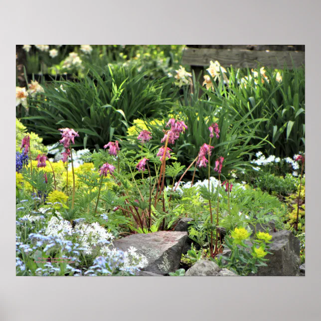 Spring Garden Perennials Poster | Zazzle