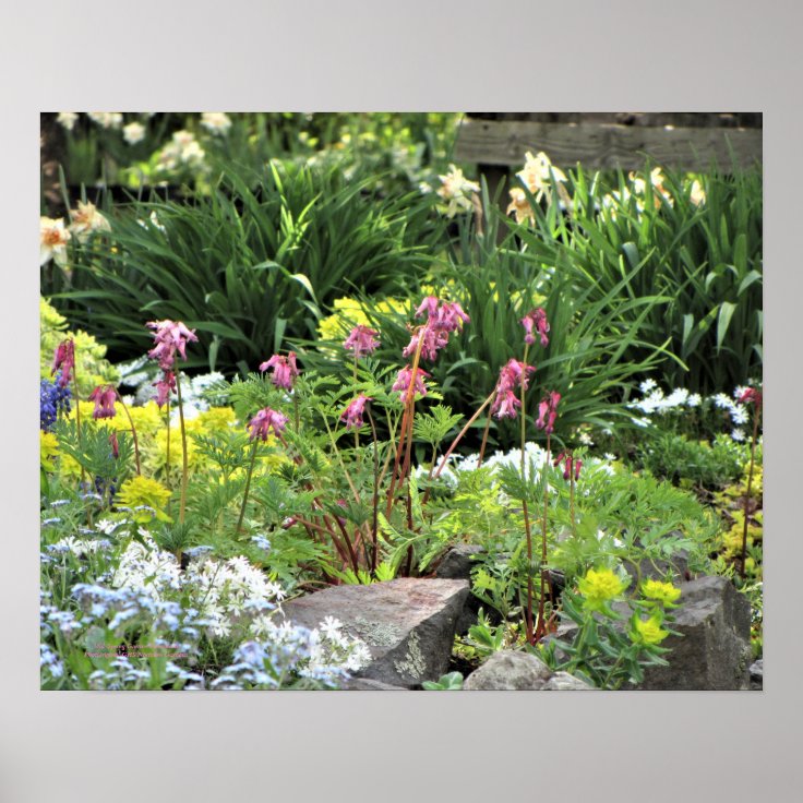 Spring Garden Perennials Poster | Zazzle