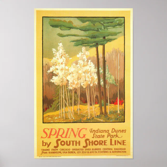 Spring in Indiana Dunes State Park Poster | Zazzle