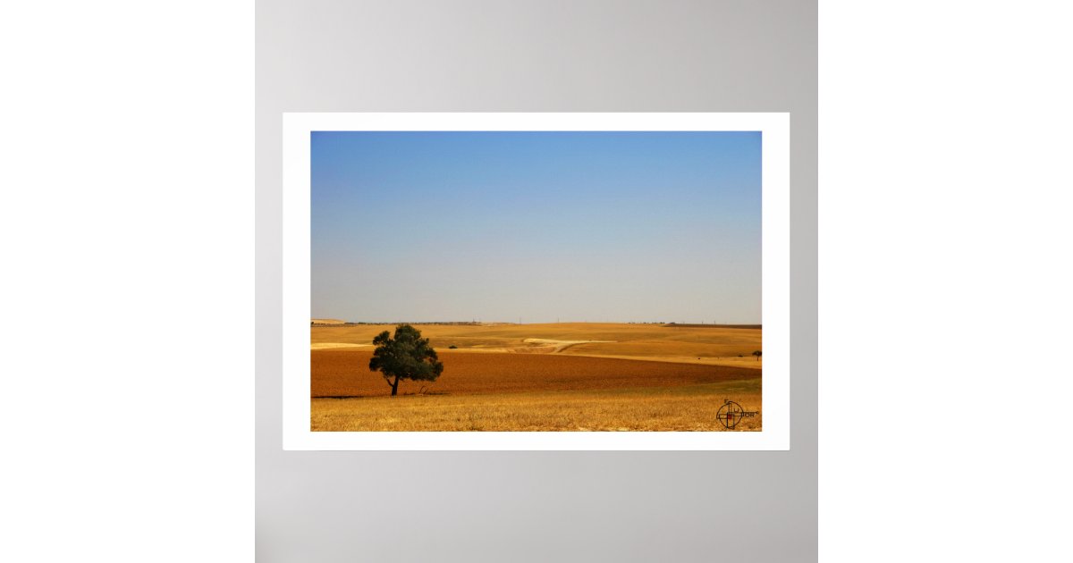Spring in the Negev Poster | Zazzle