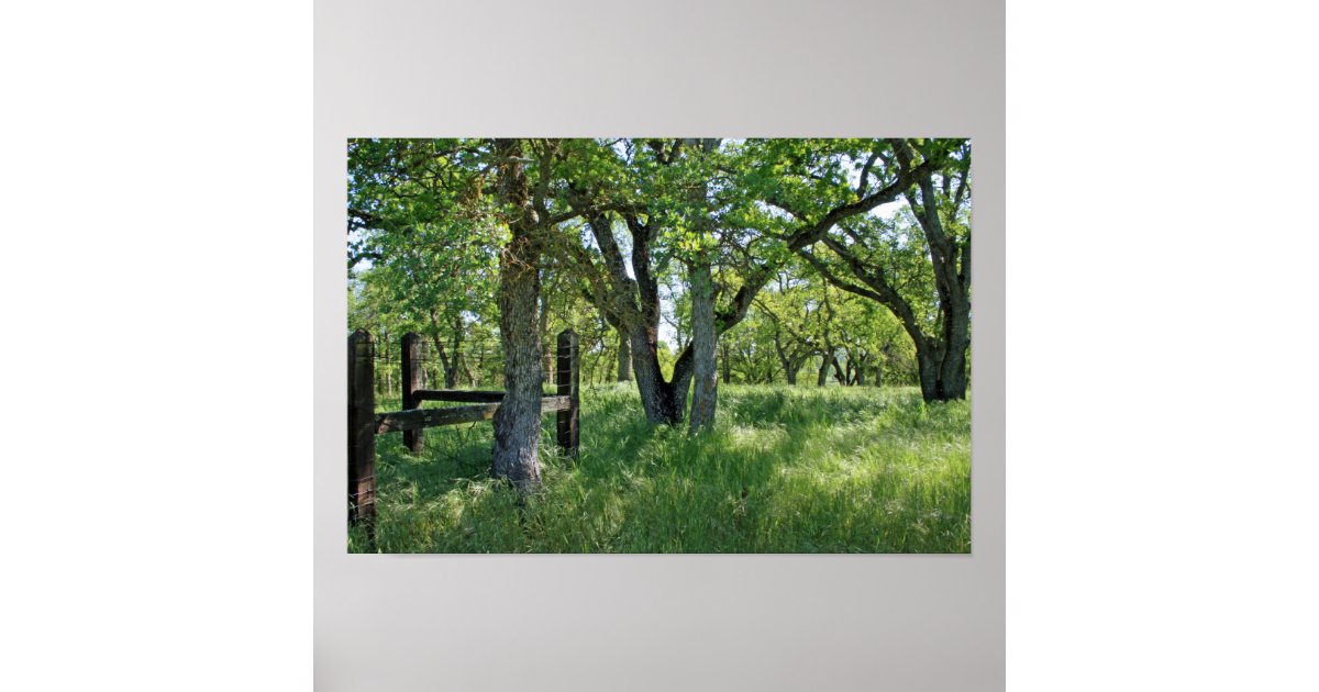 "Spring Meadow" Poster | Zazzle