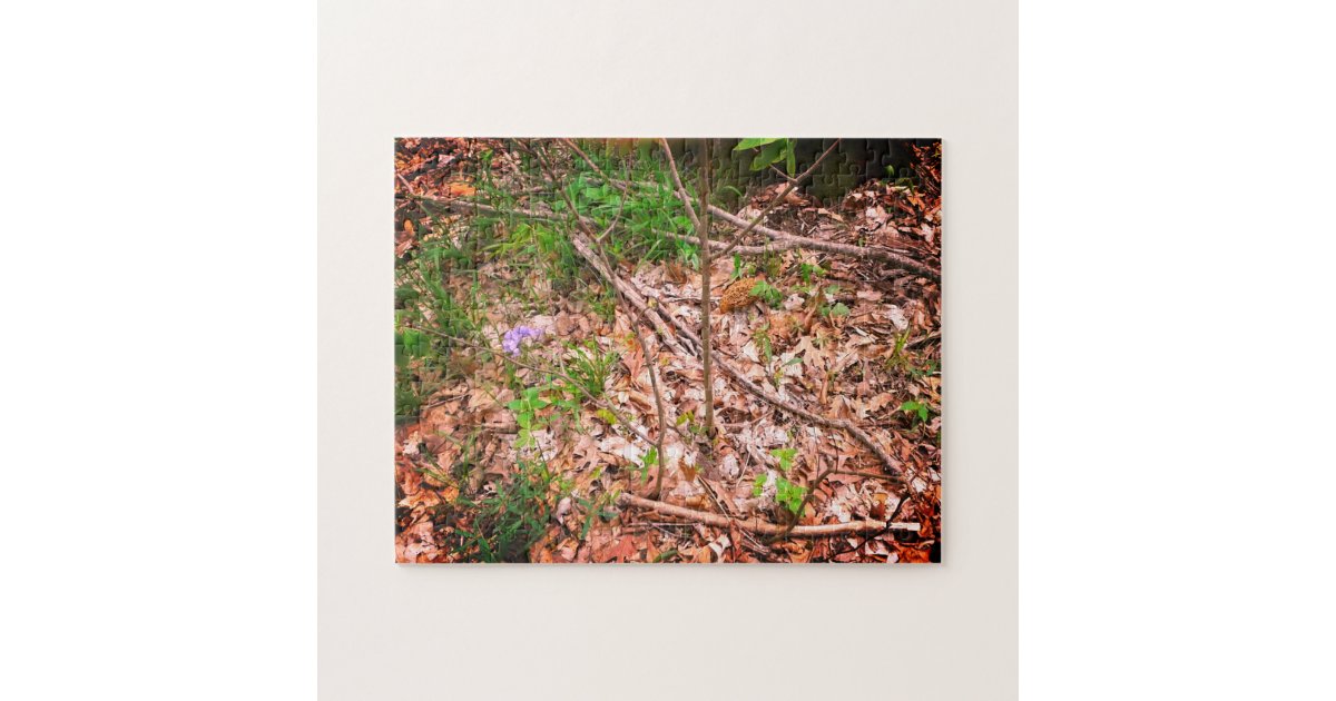 Spring Morel Hunting Jigsaw Puzzle | Zazzle