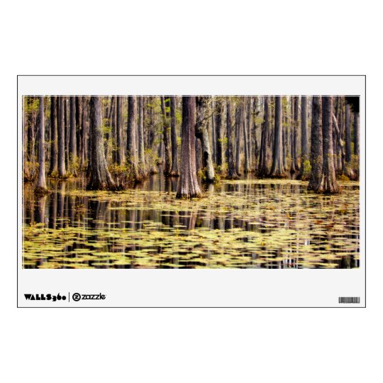 Spring on Cypress Swamp Wall Decal | Zazzle.com
