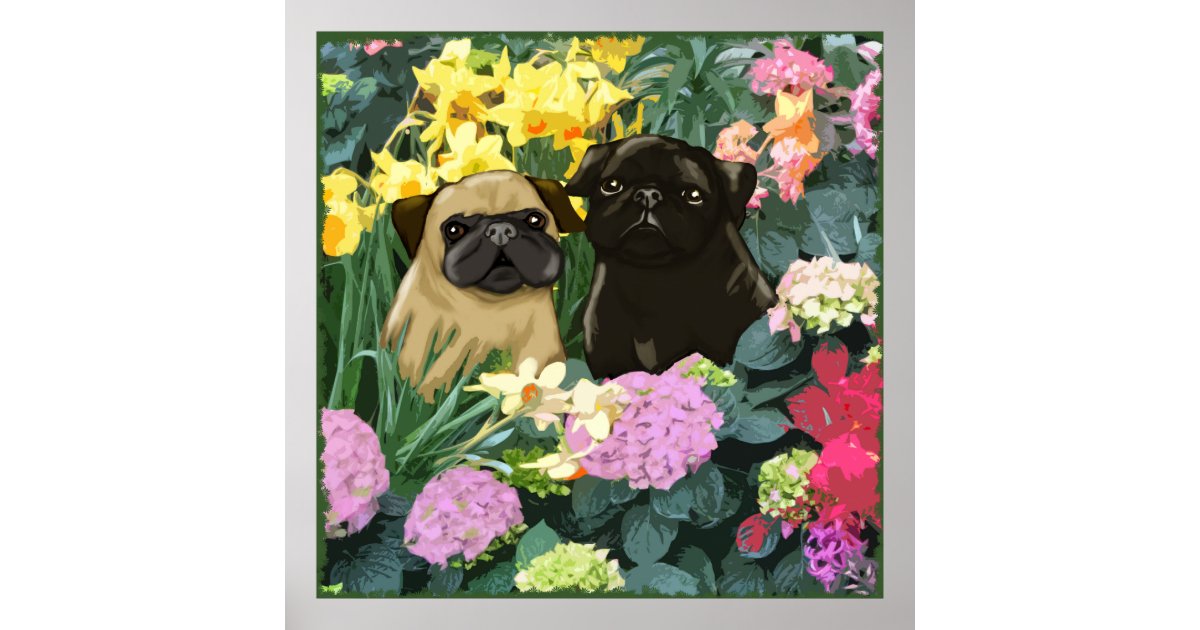Spring Pugs Poster | Zazzle