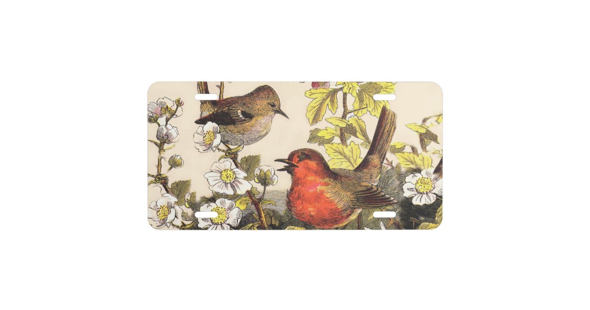 Spring Robin Birds Red Birding License Plate | Zazzle