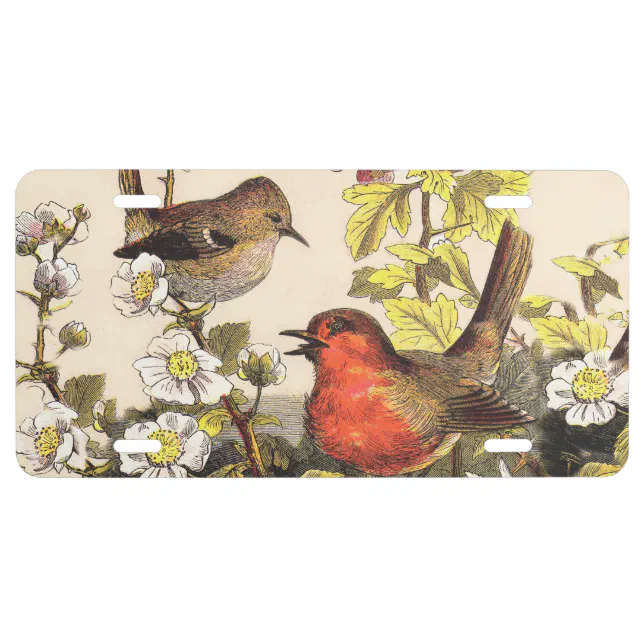 Spring Robin Birds Red Birding License Plate | Zazzle