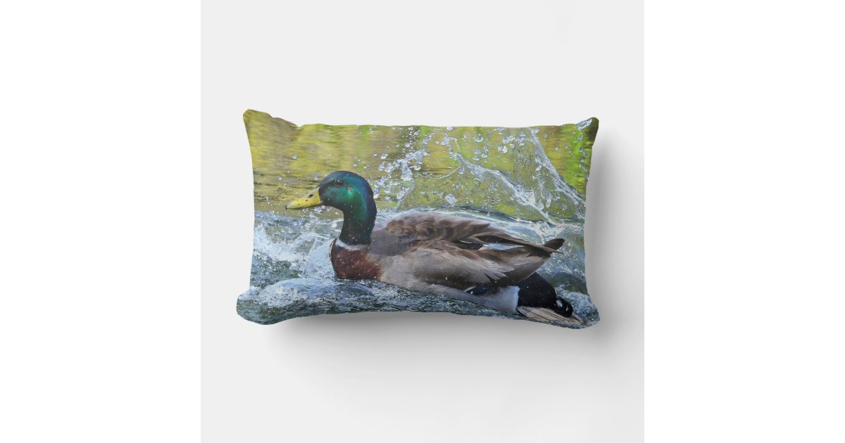Spring Splash Mallard Duck Lumbar Pillow | Zazzle