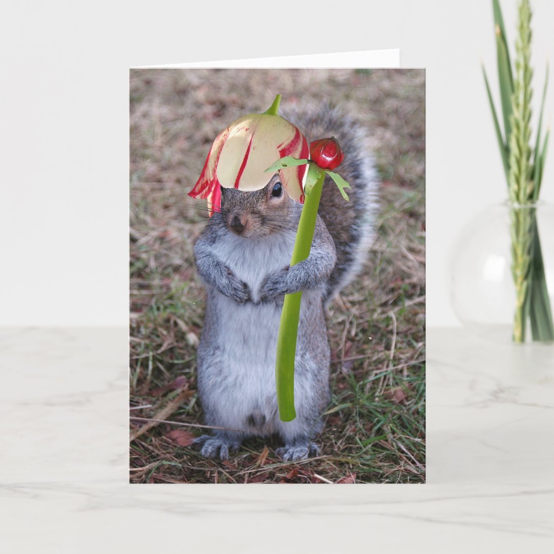 Spring Squirel Happy Spring card | Zazzle