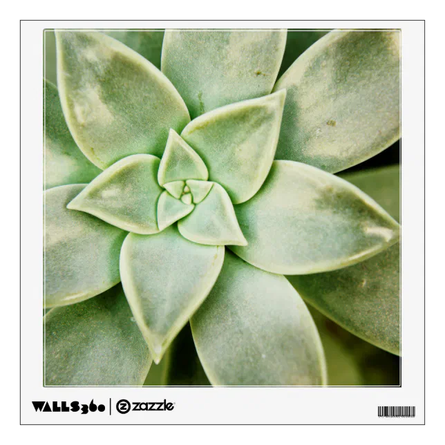 Spring Succulent Wall Decal | Zazzle