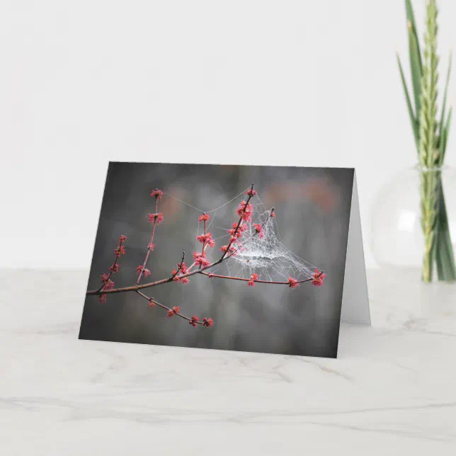 Spring Threads, card | Zazzle